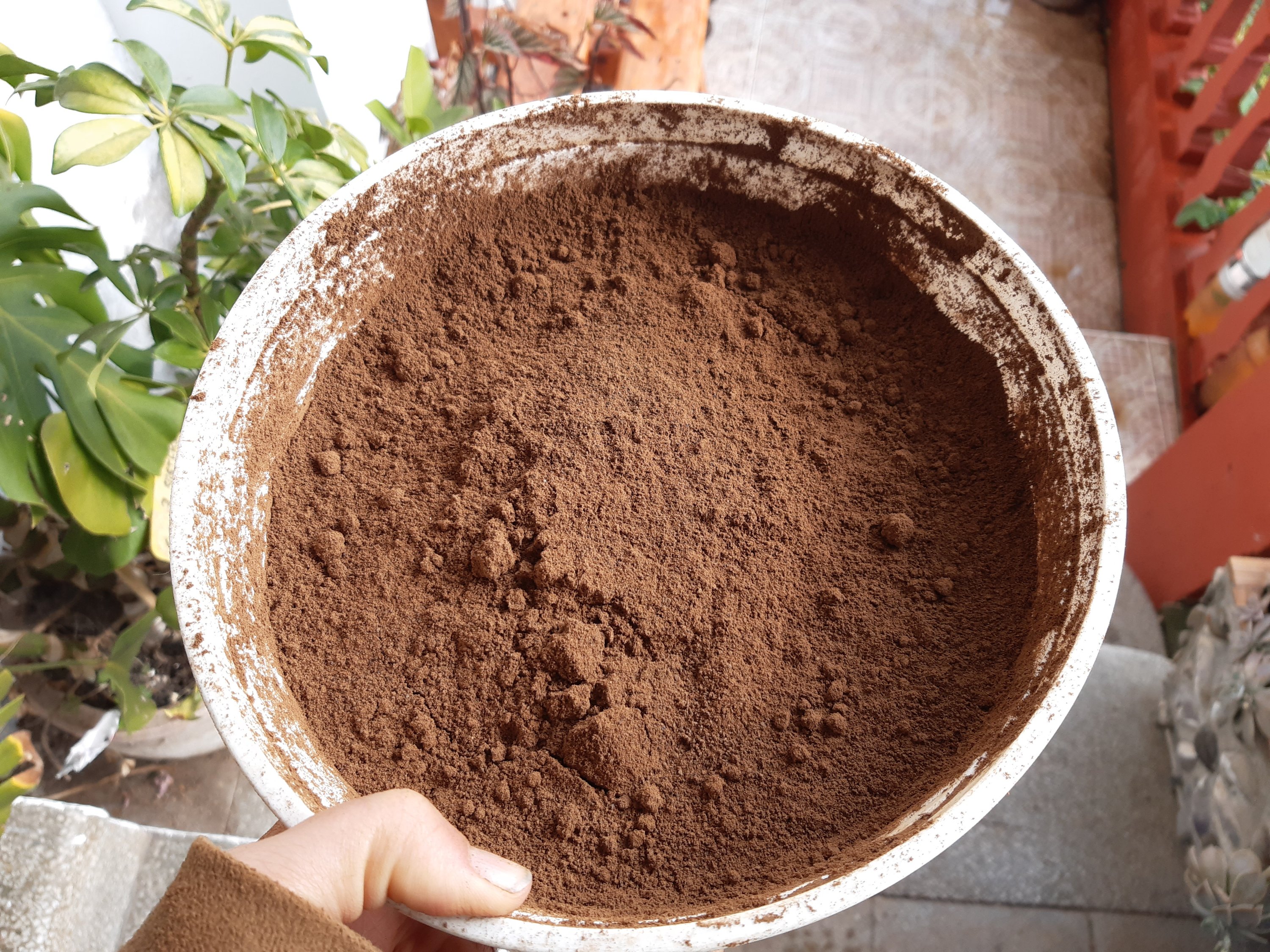 Edible Acorns – way2sustainability